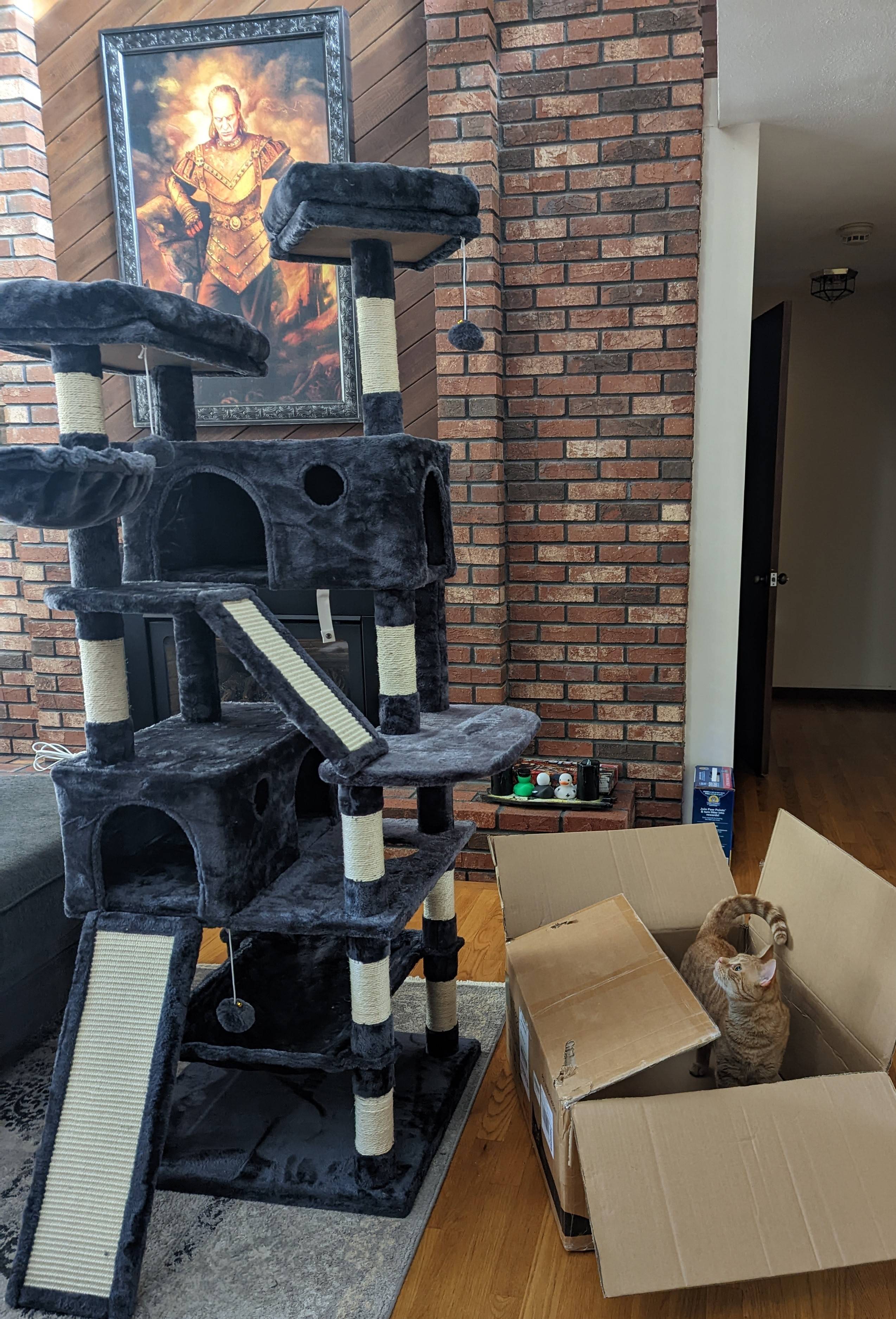Two hours of cat tree building later... | Scrolller