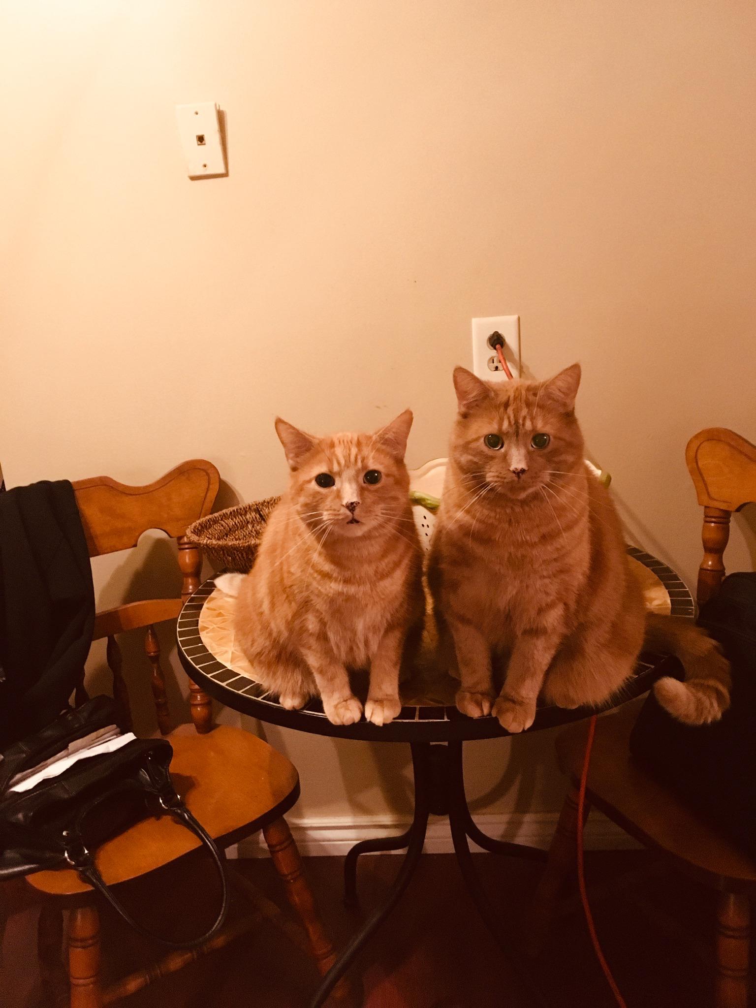 Two really good guys. | Scrolller