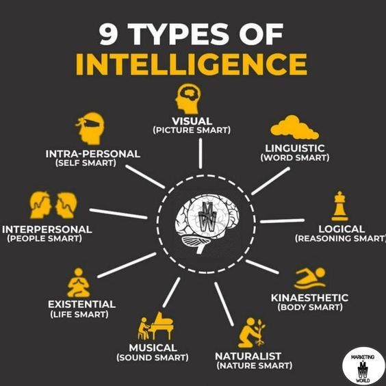 Types of Intelligence | Scrolller