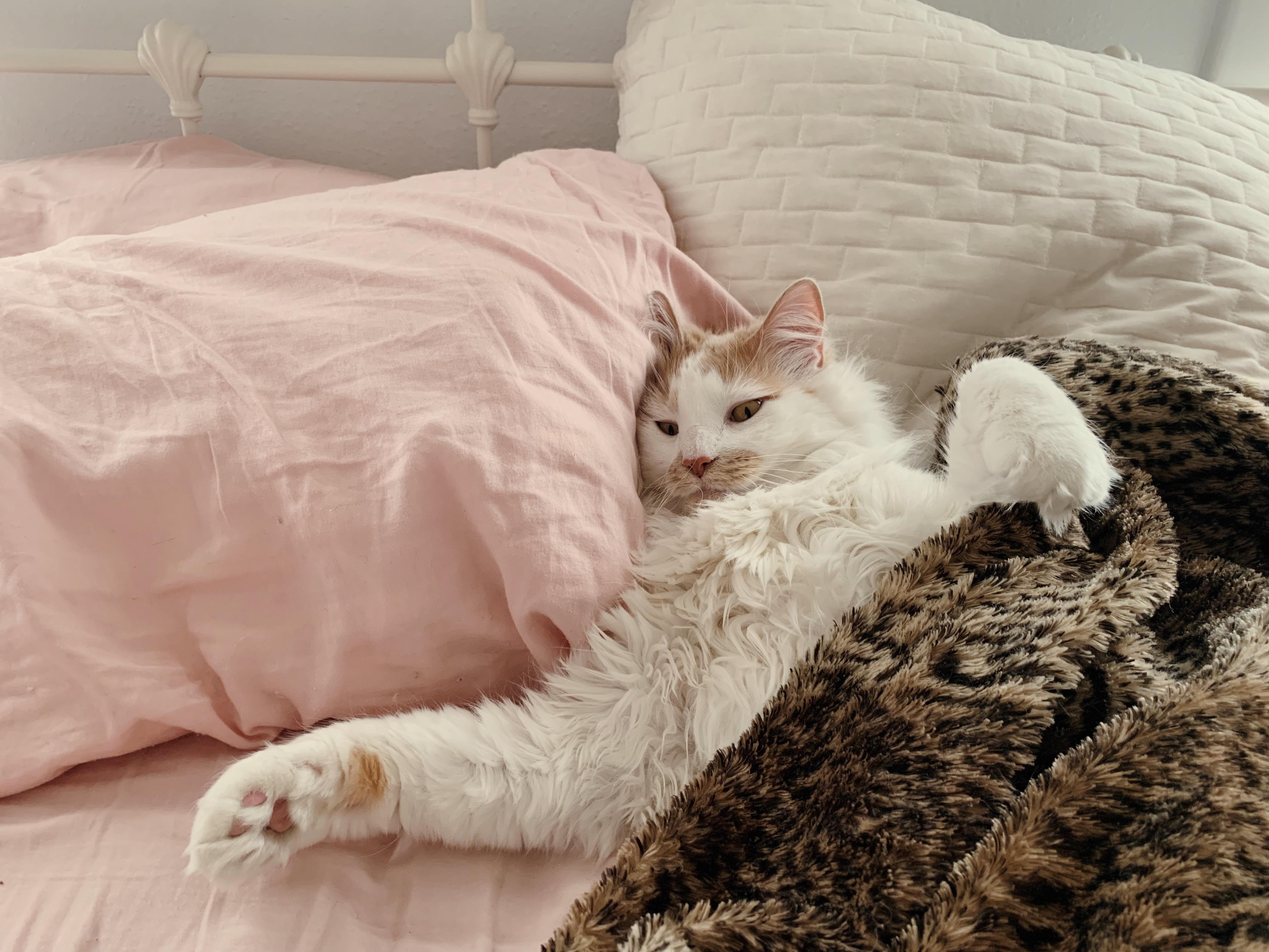 Ultimate relaxation. | Scrolller