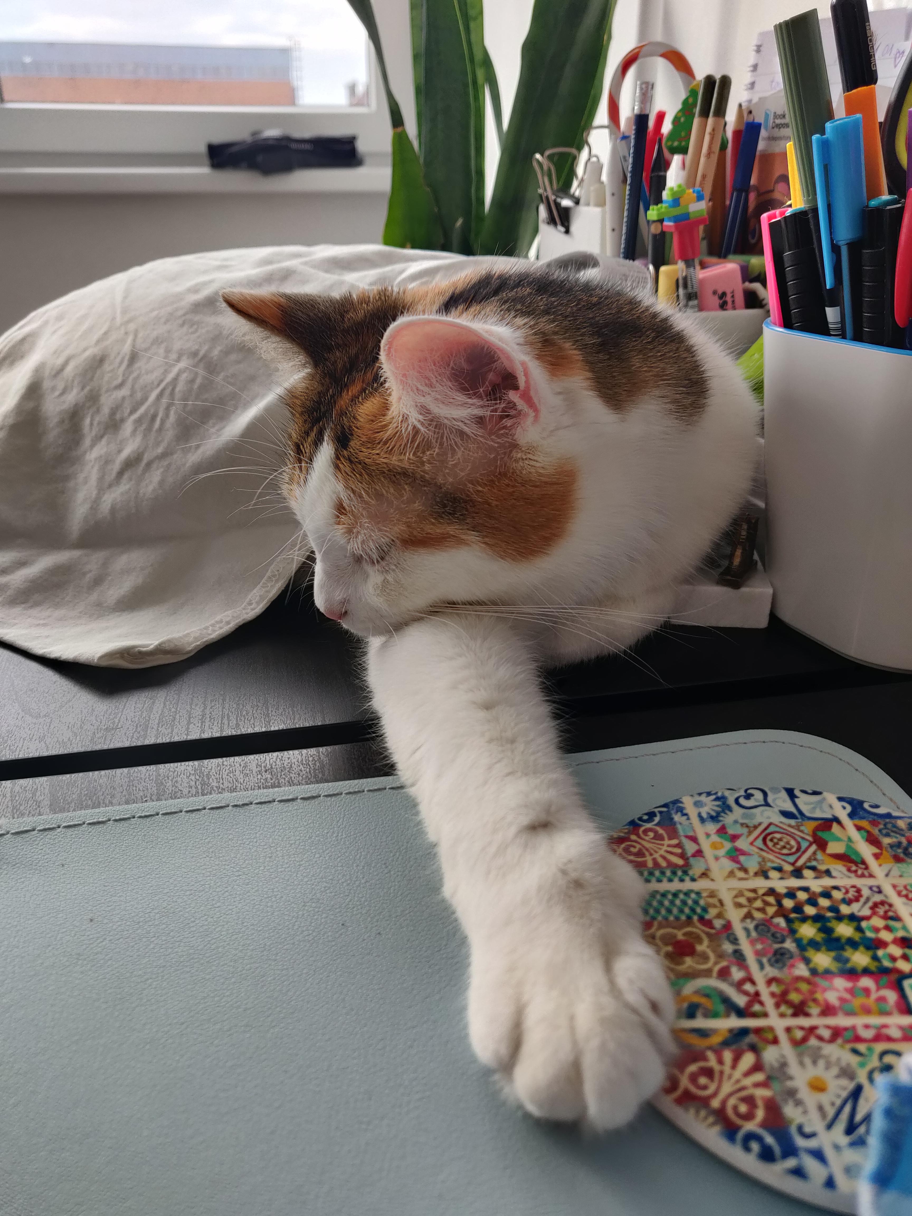 ultimate straightened footsie | Scrolller