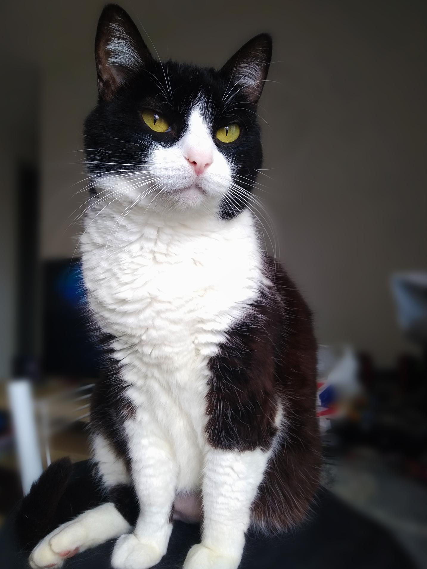 unamused peanut | Scrolller