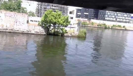 Under the bridge downtown | Scrolller