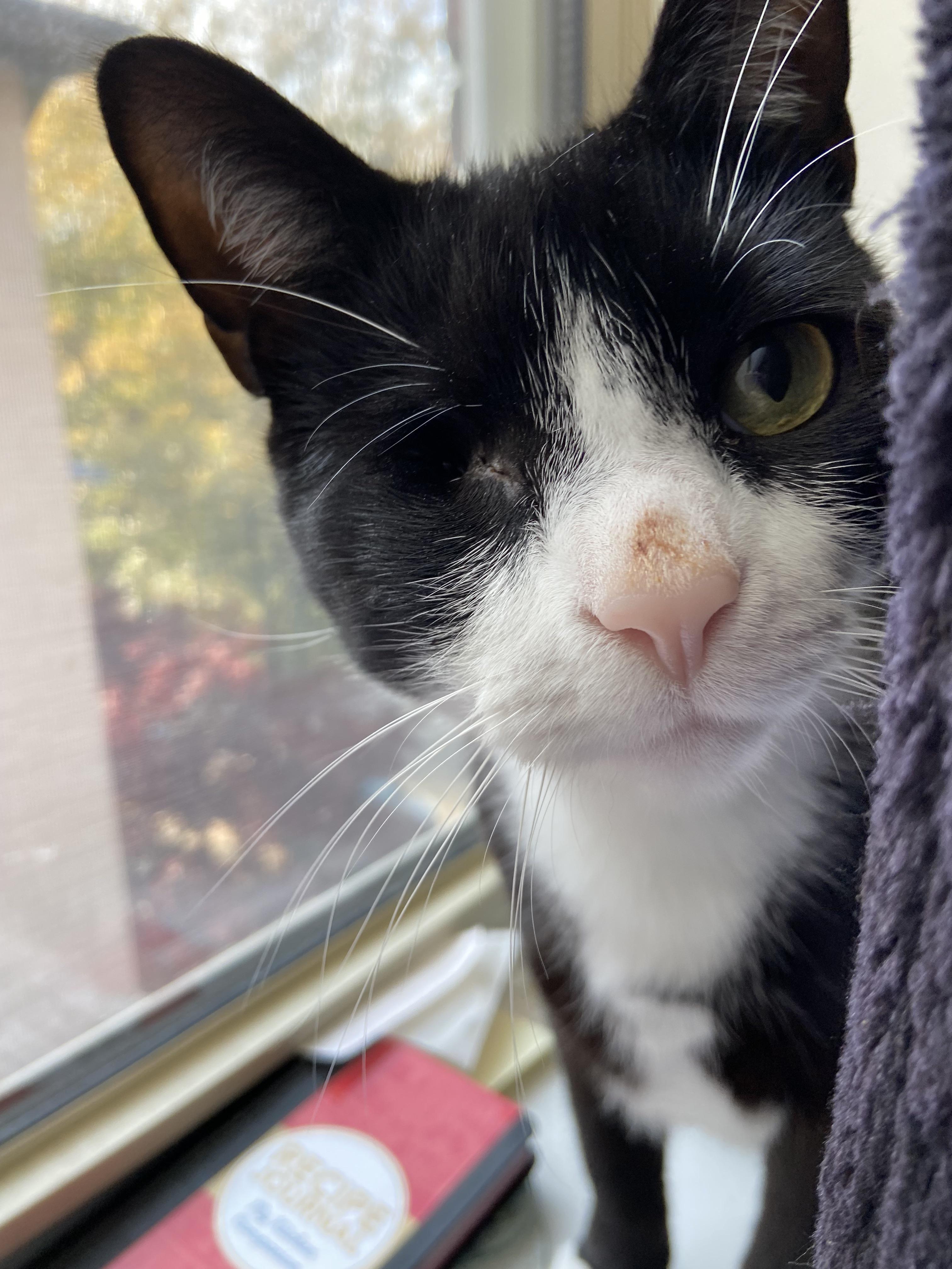 Uno so handsome | Scrolller