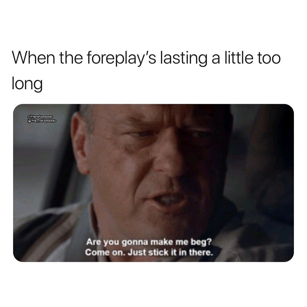 Memes Make Me Beg