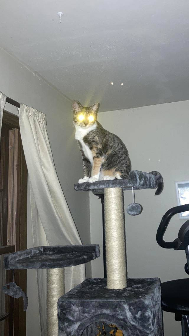 Up high and fully charged | Scrolller