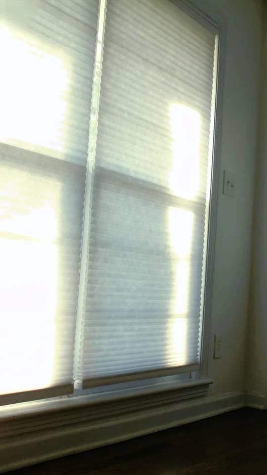 Using Good Light | Scrolller