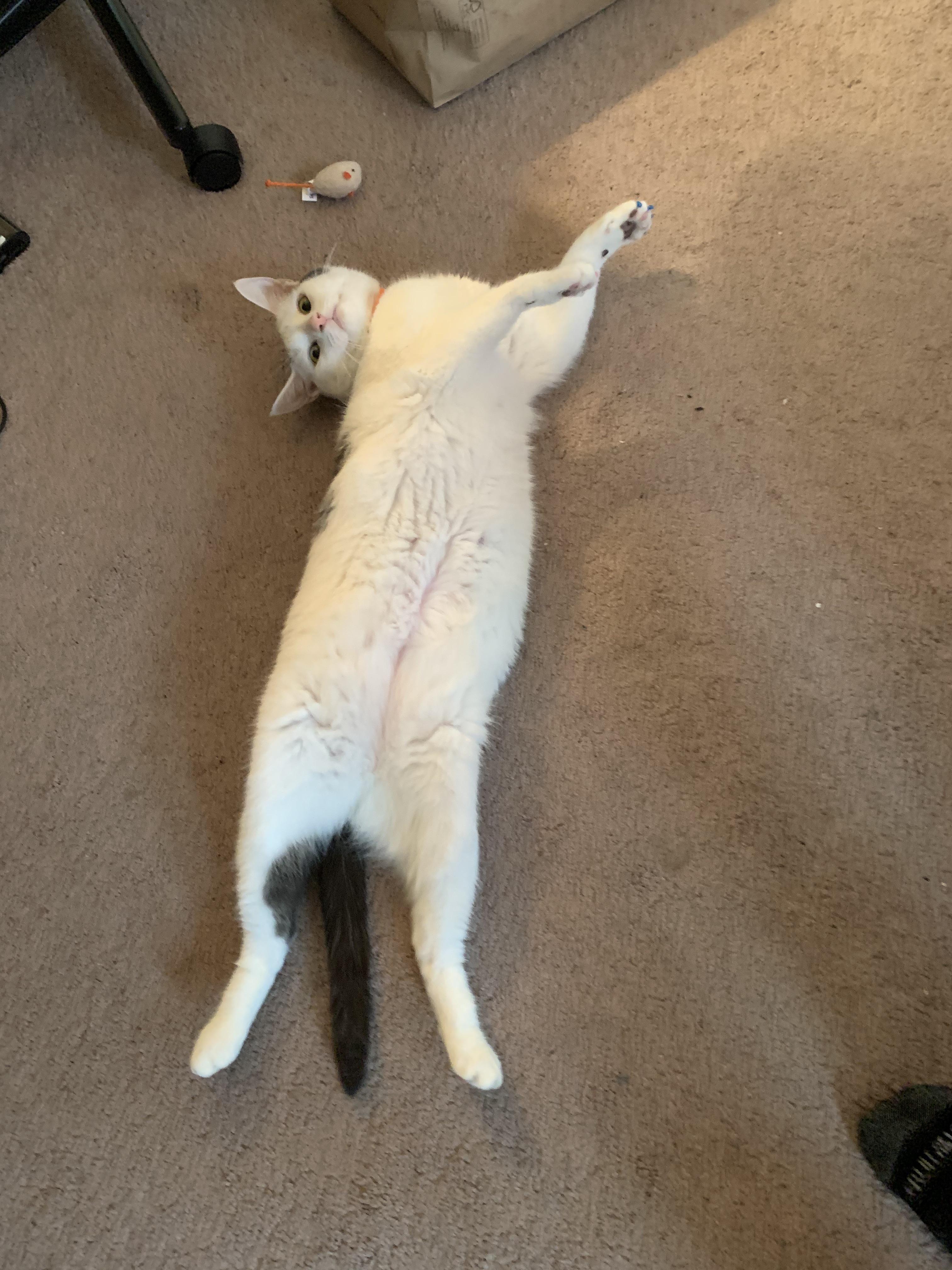 Very long | Scrolller