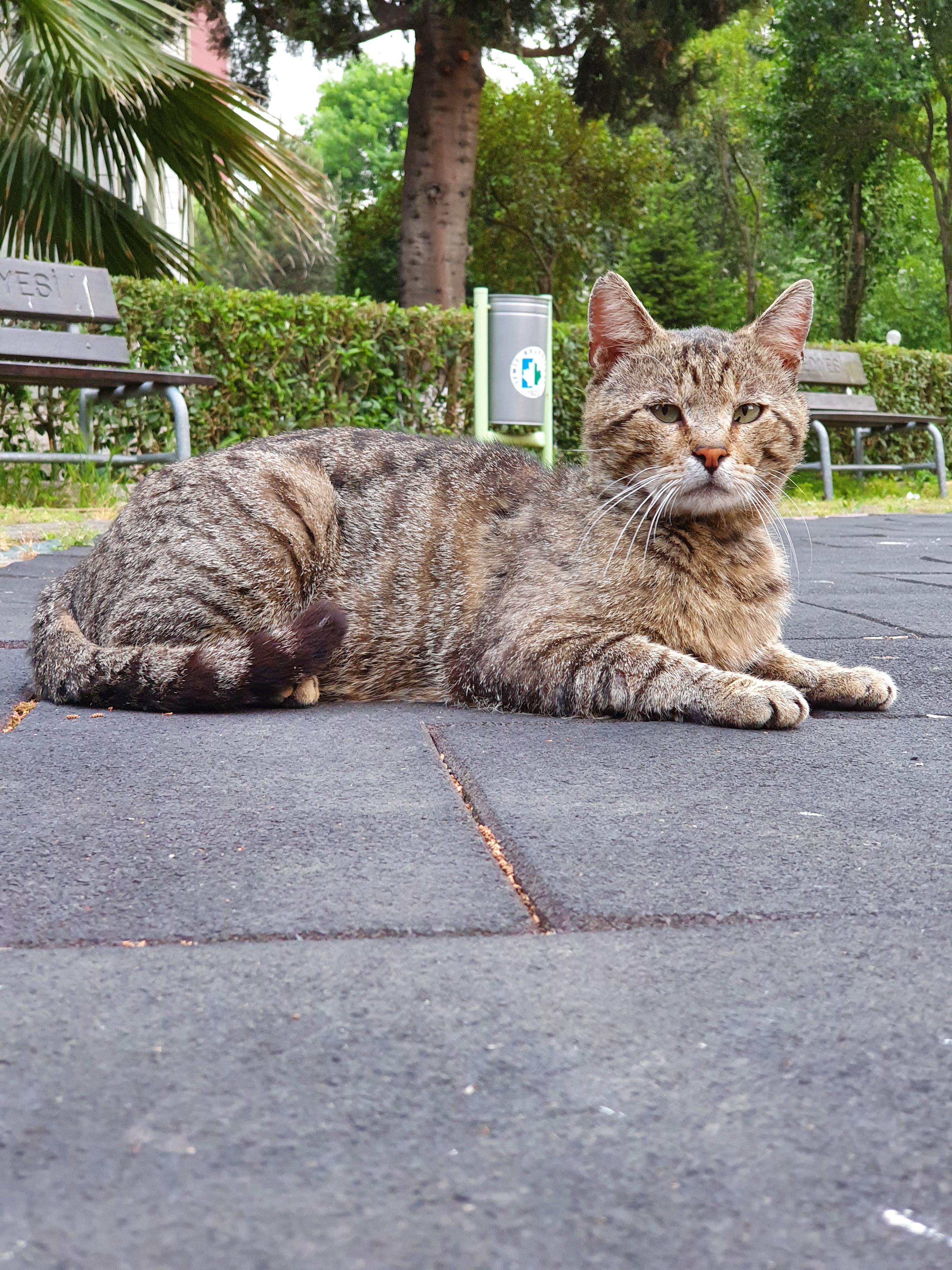 Very serious ! | Scrolller