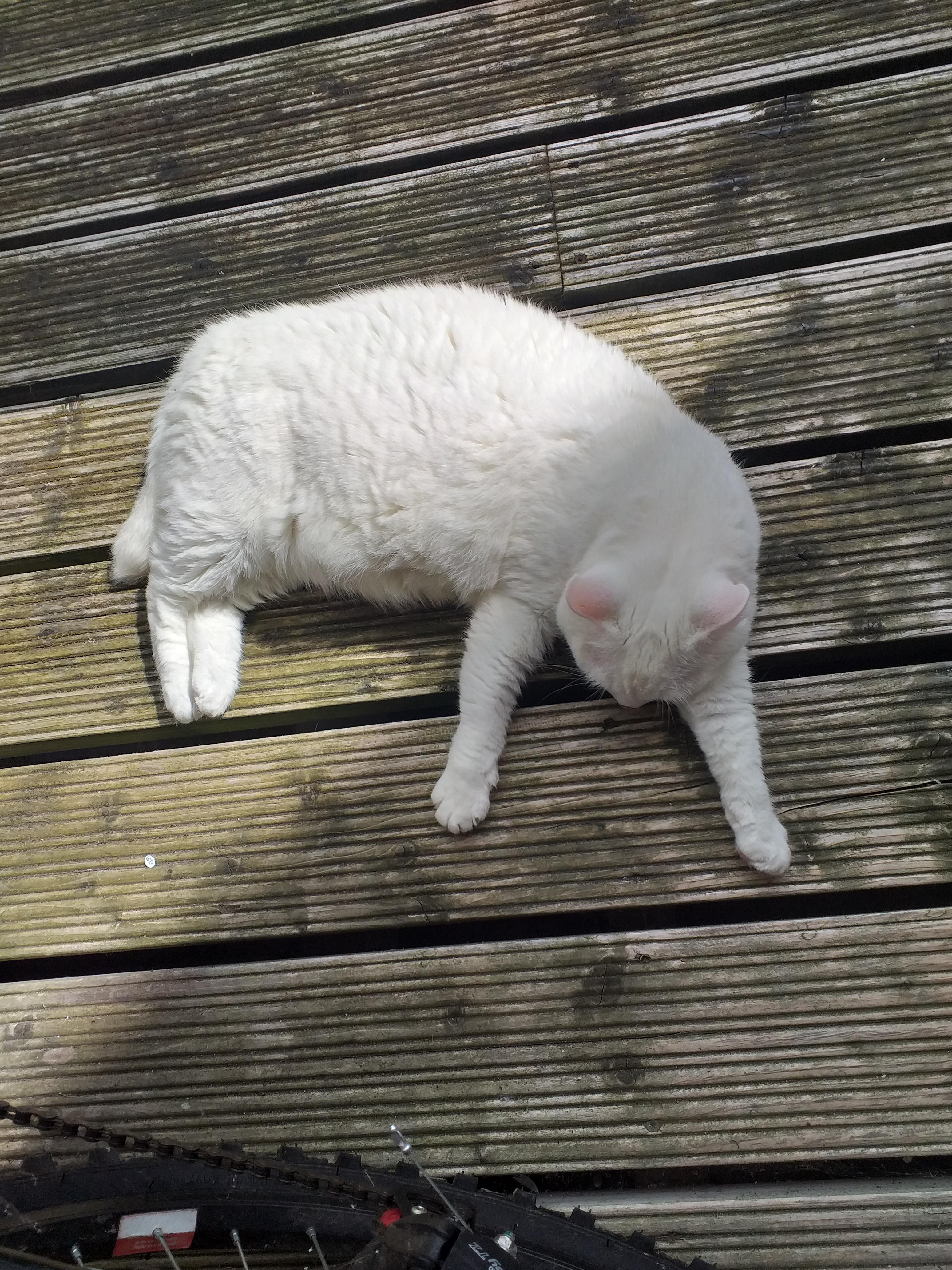 Very straight feetsies. | Scrolller