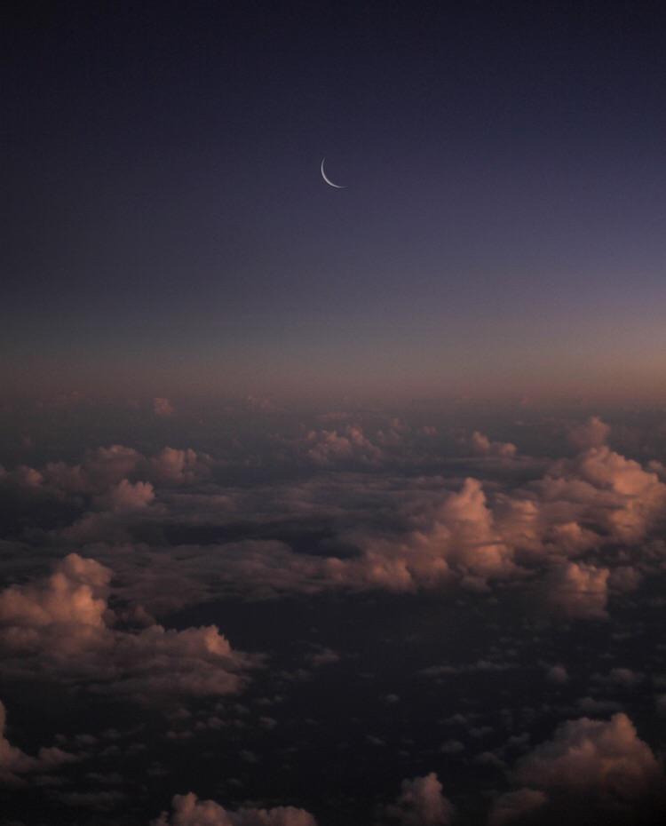 view from above | Scrolller