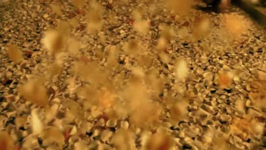 Viva Bianca added great plot to Spartacus | Scrolller