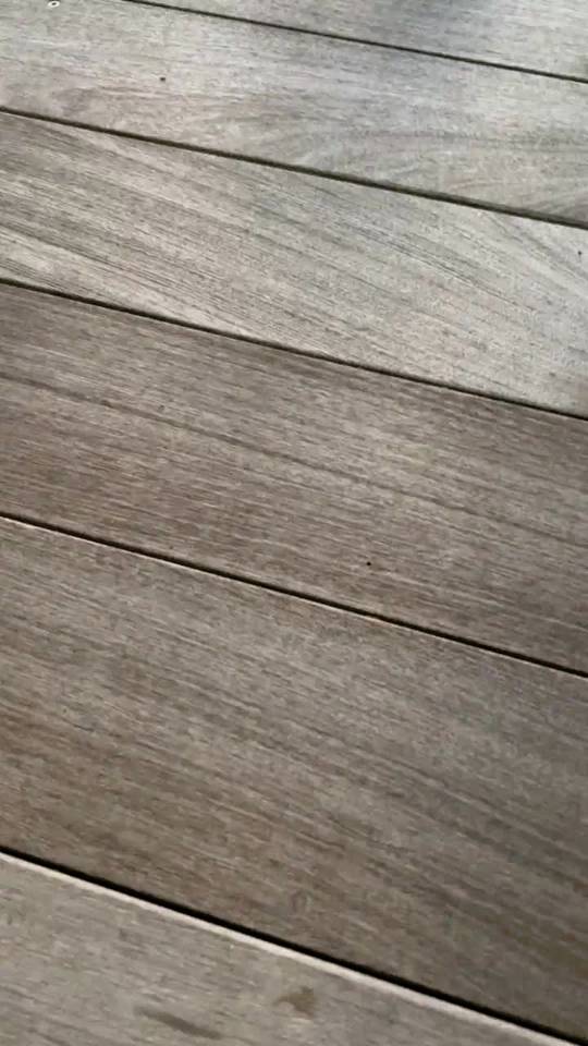 Was so lucky to get this shot (: | Scrolller