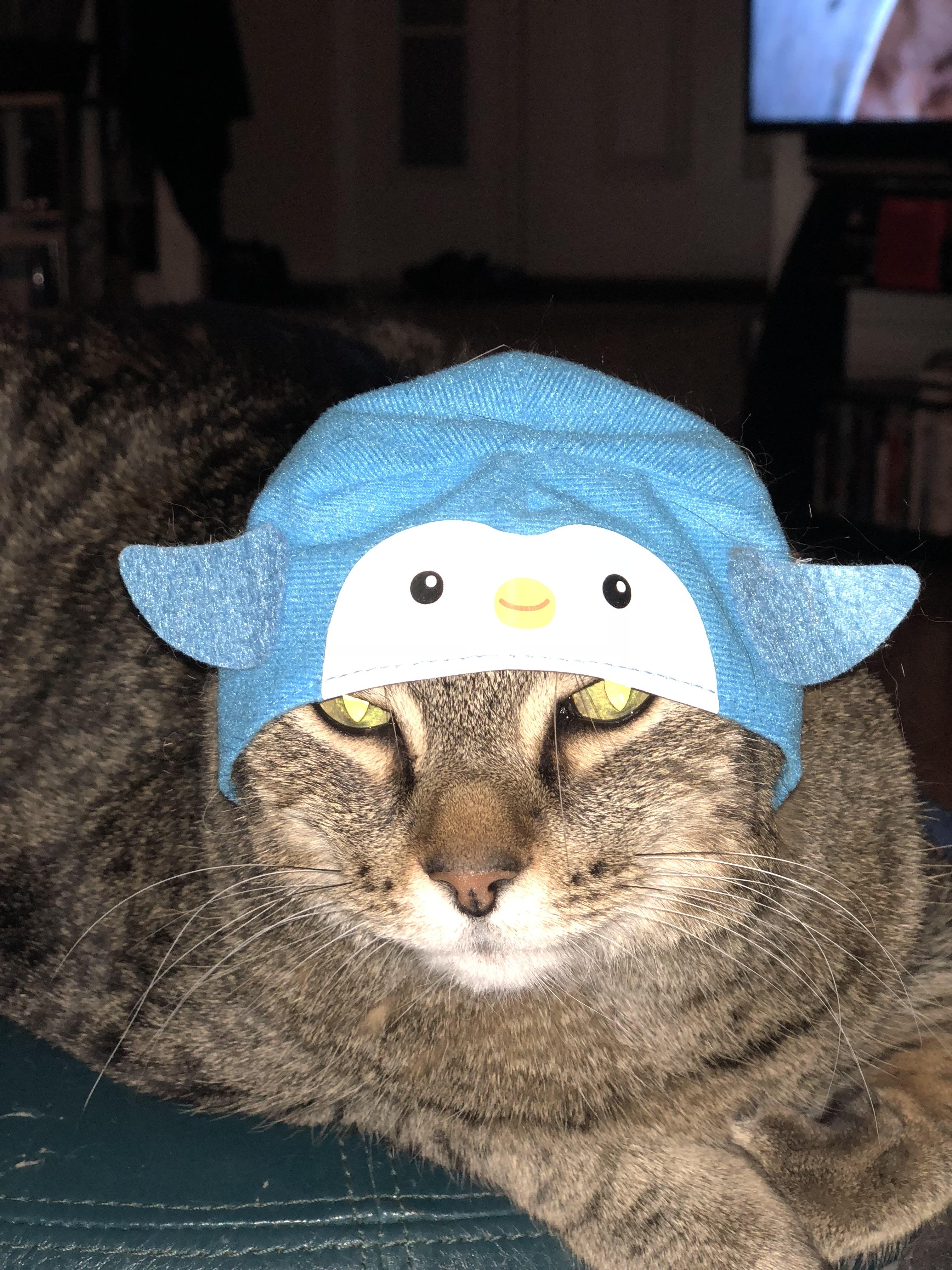 Watch as the hat brings out the evil within me... | Scrolller