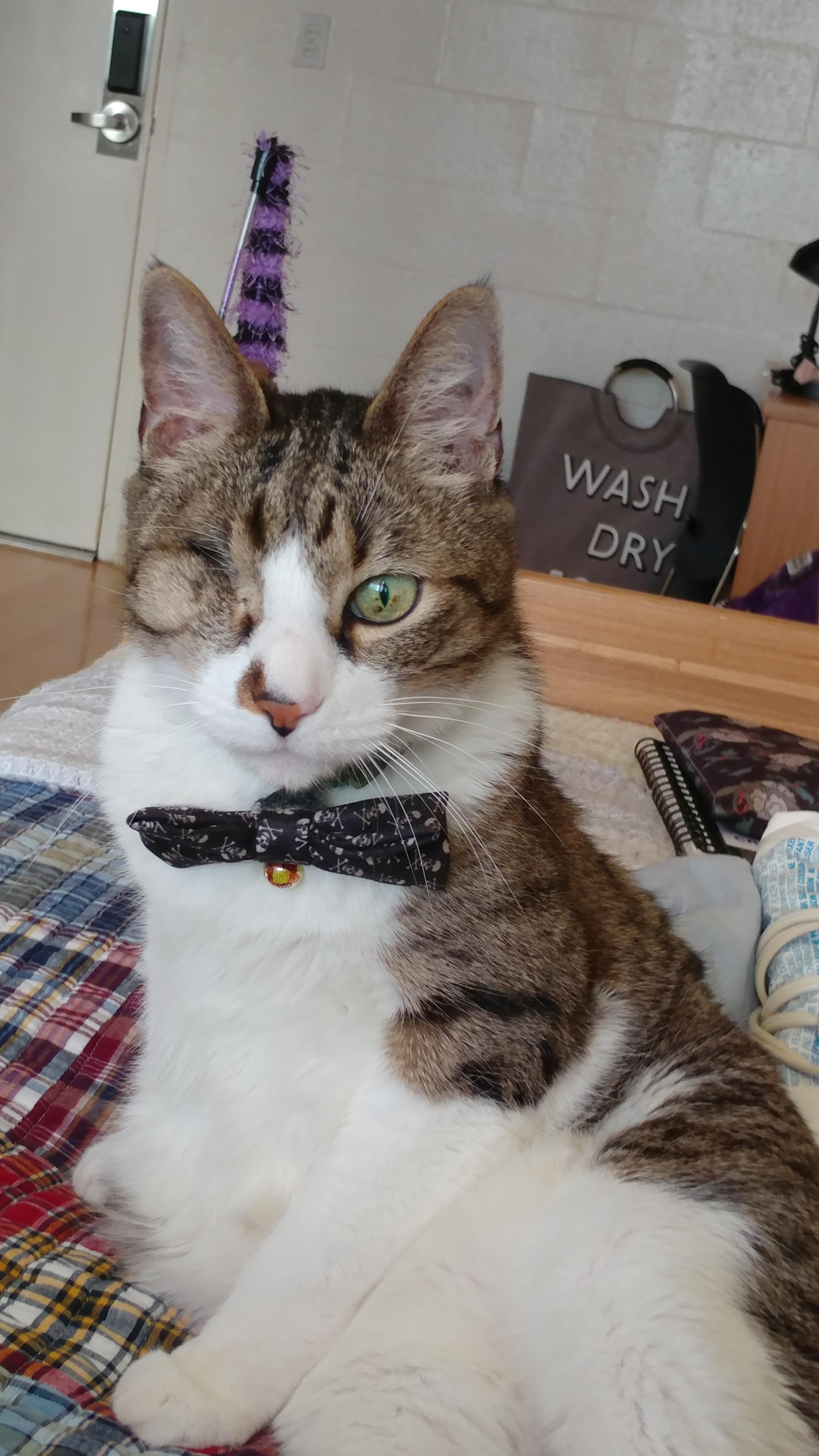 We are all settled inside our new dorm room | Scrolller