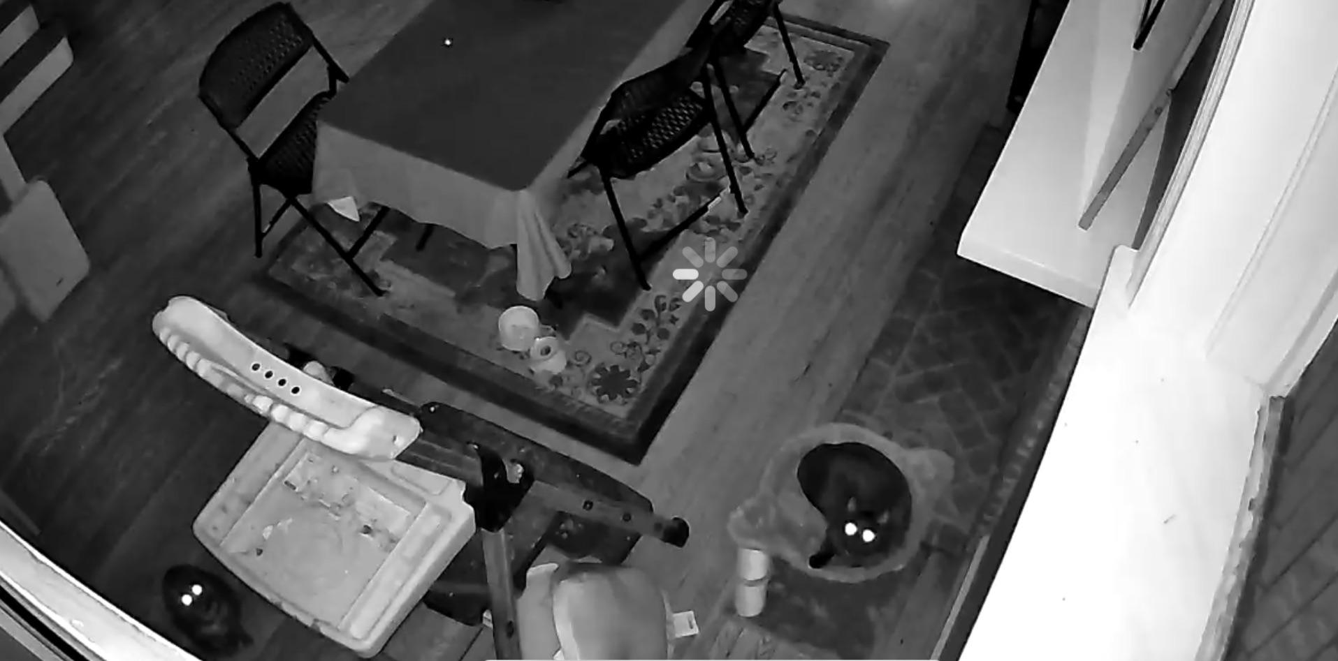 We see everything | Scrolller