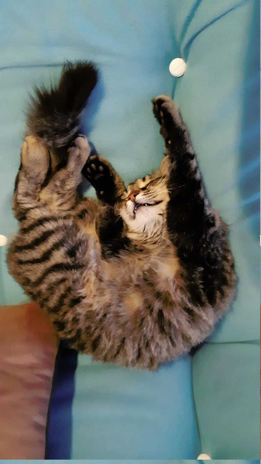 weird sleeper | Scrolller