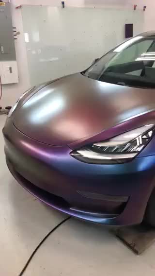 WELCOME TO THE ANAL STRETCHING CELL | Scrolller