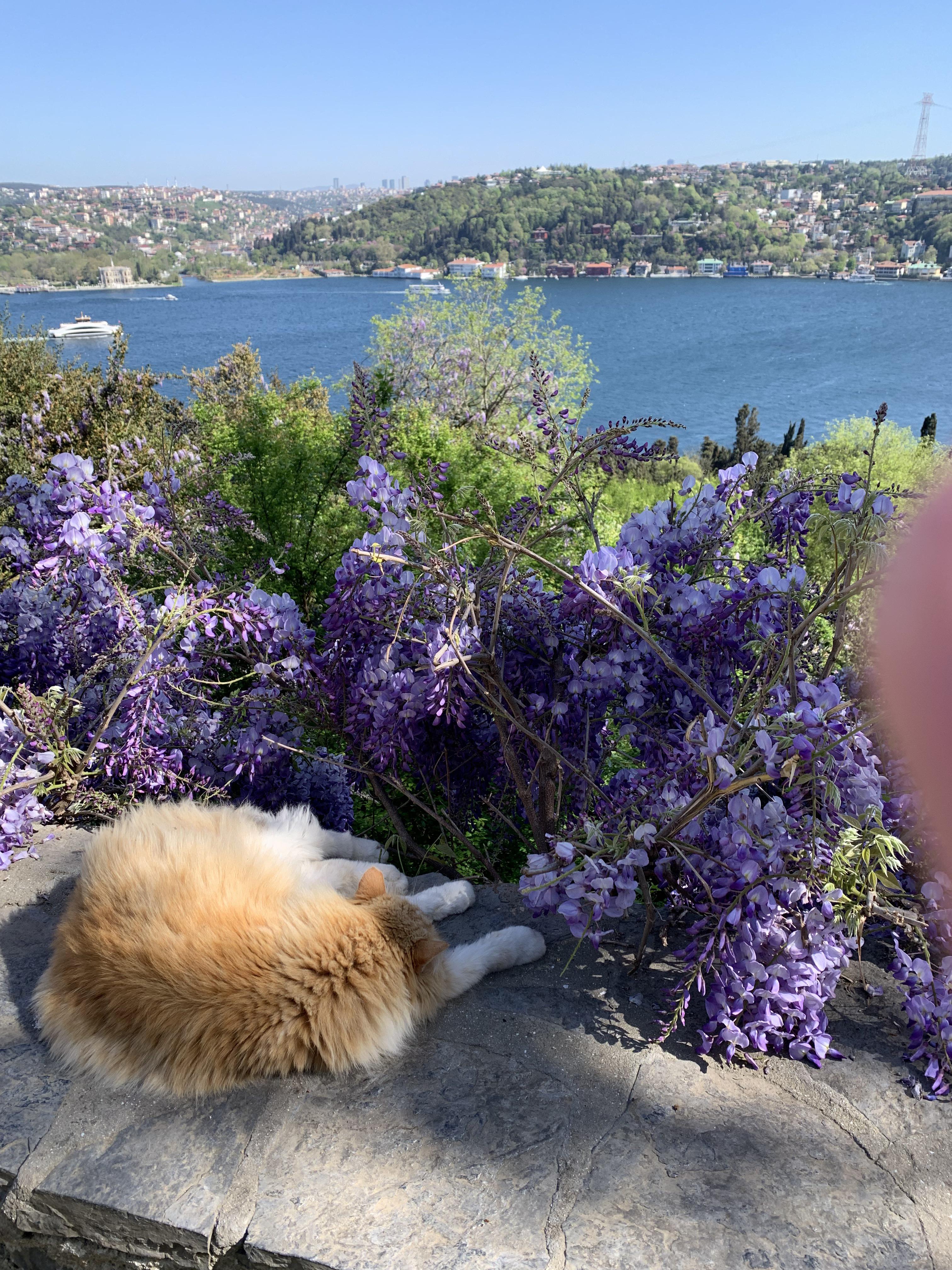 What a great view! | Scrolller