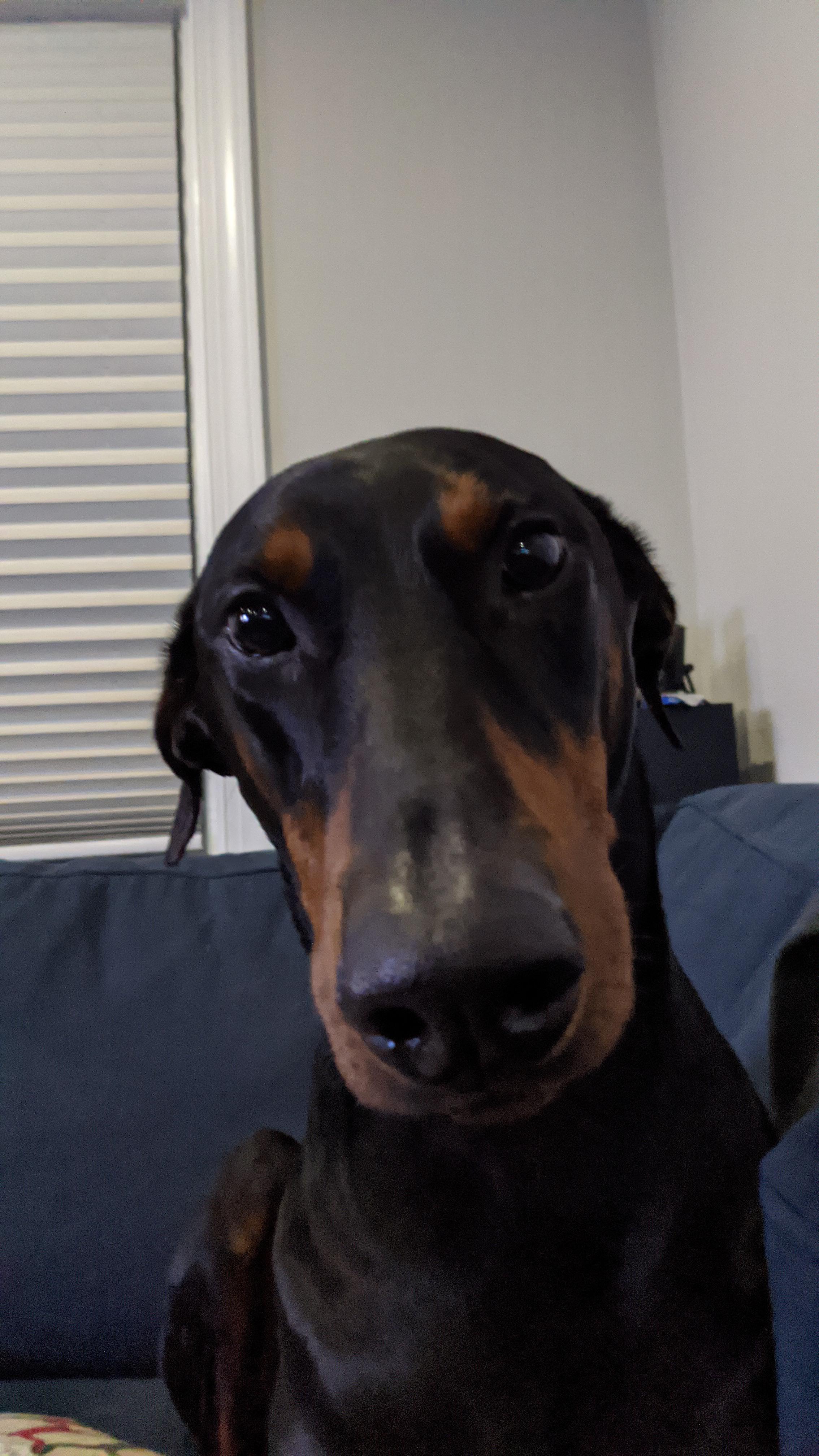 What a Gus... | Scrolller