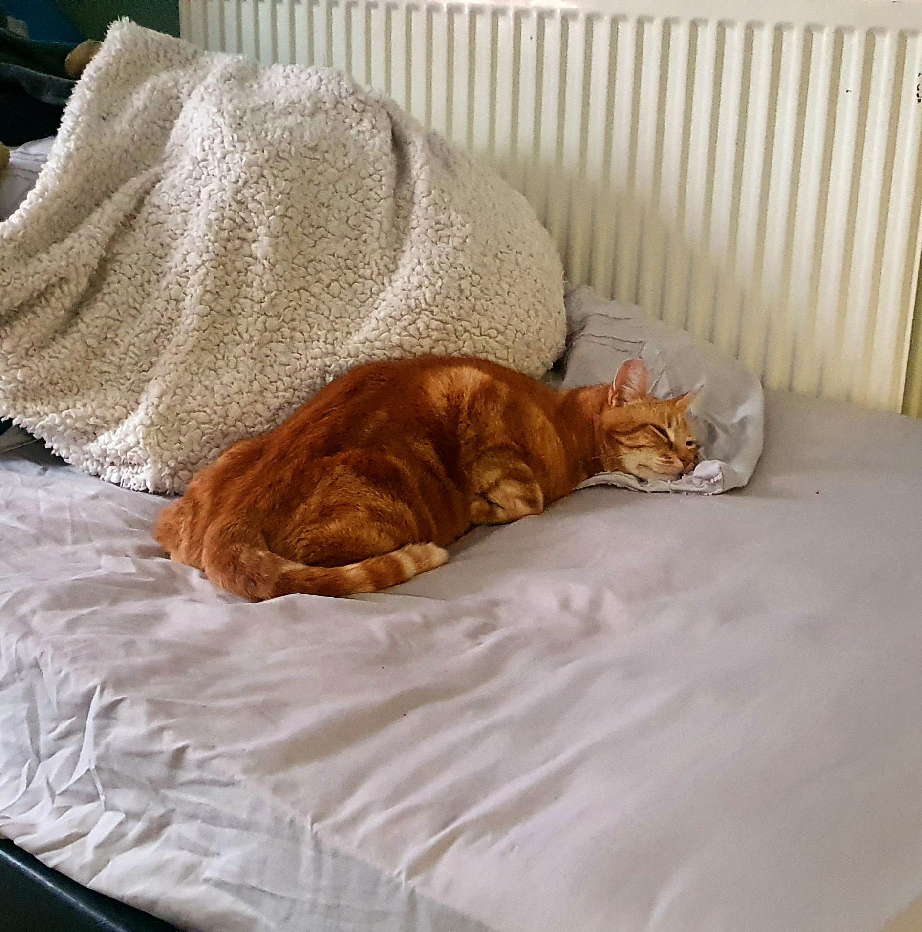 what is this position even called | Scrolller