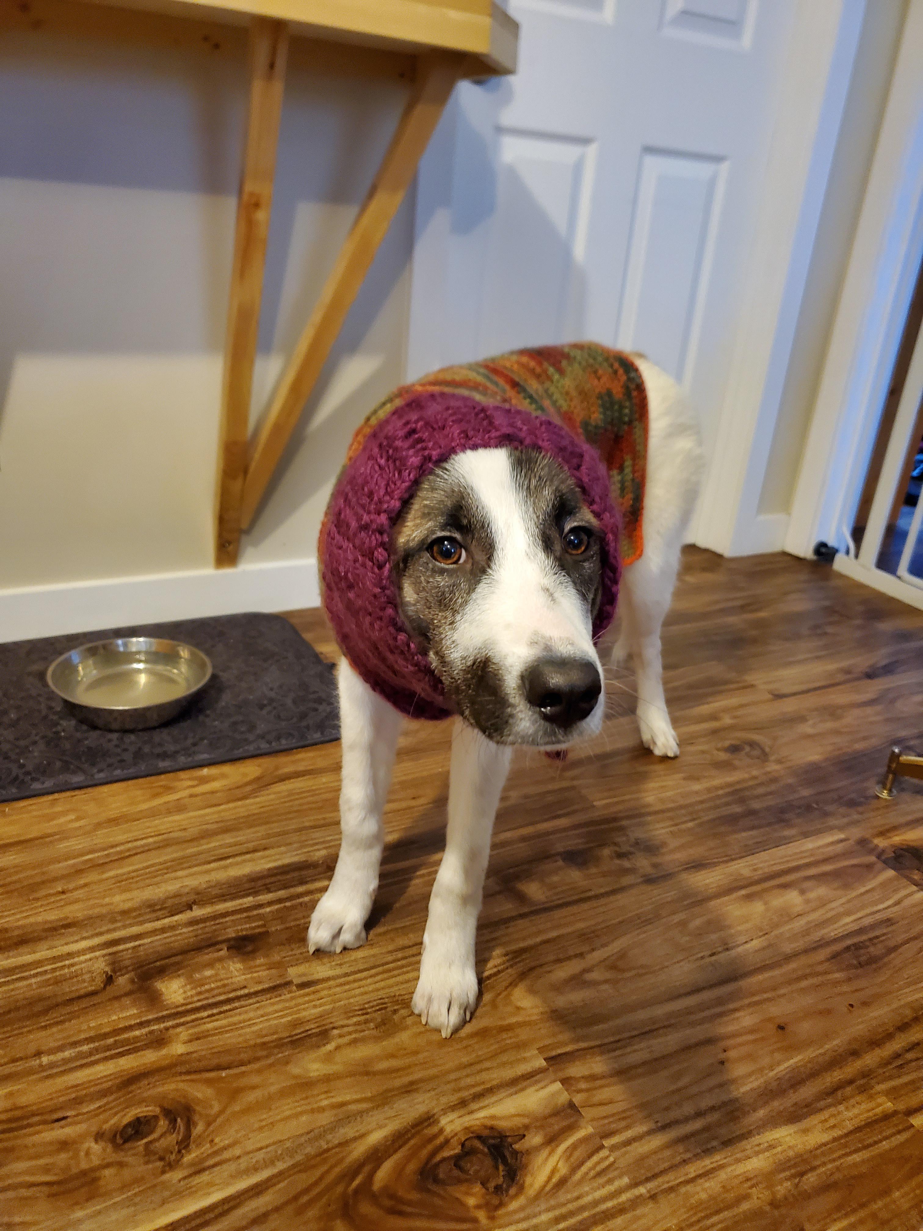 When it's -30 outside, bundle up your bubba. | Scrolller