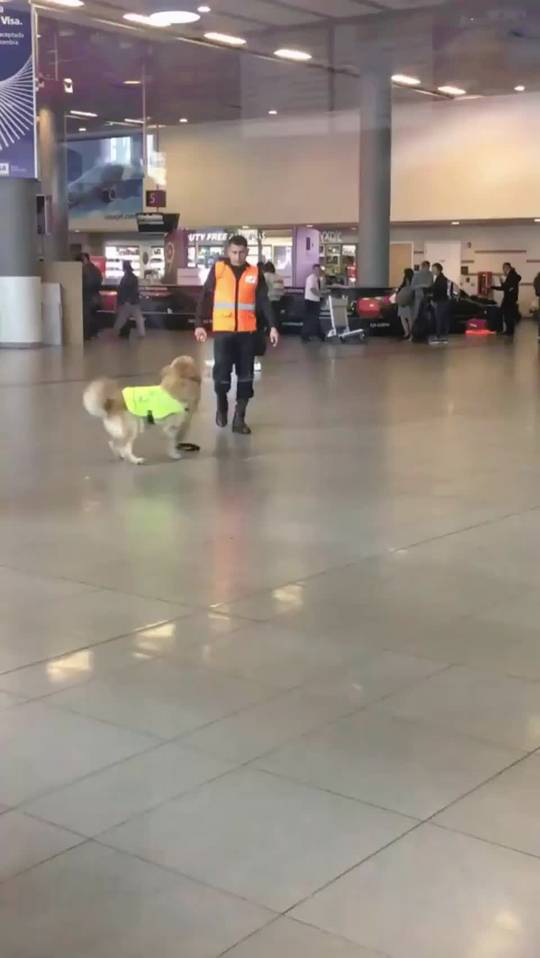 When you finally get your first break on a 12 hour shift. | Scrolller