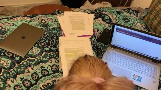 When you have homework due but he wants to cum | Scrolller