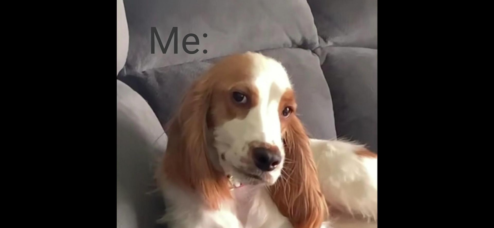 KitzCua | Pictures | Scrolller NSFW