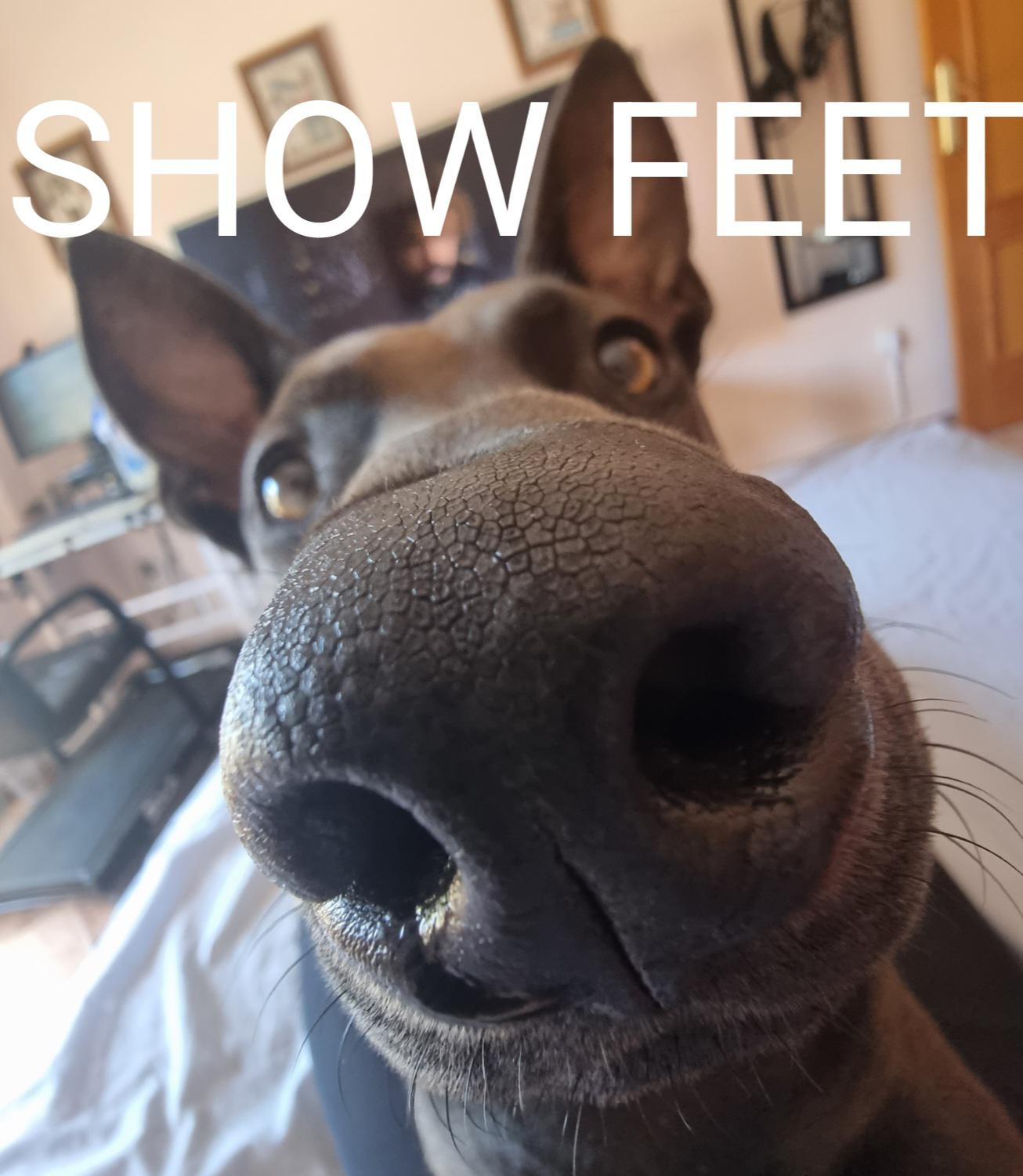 Whenever a female tiktoker, no matter what kind of content she makes, makes a live stream, the ...