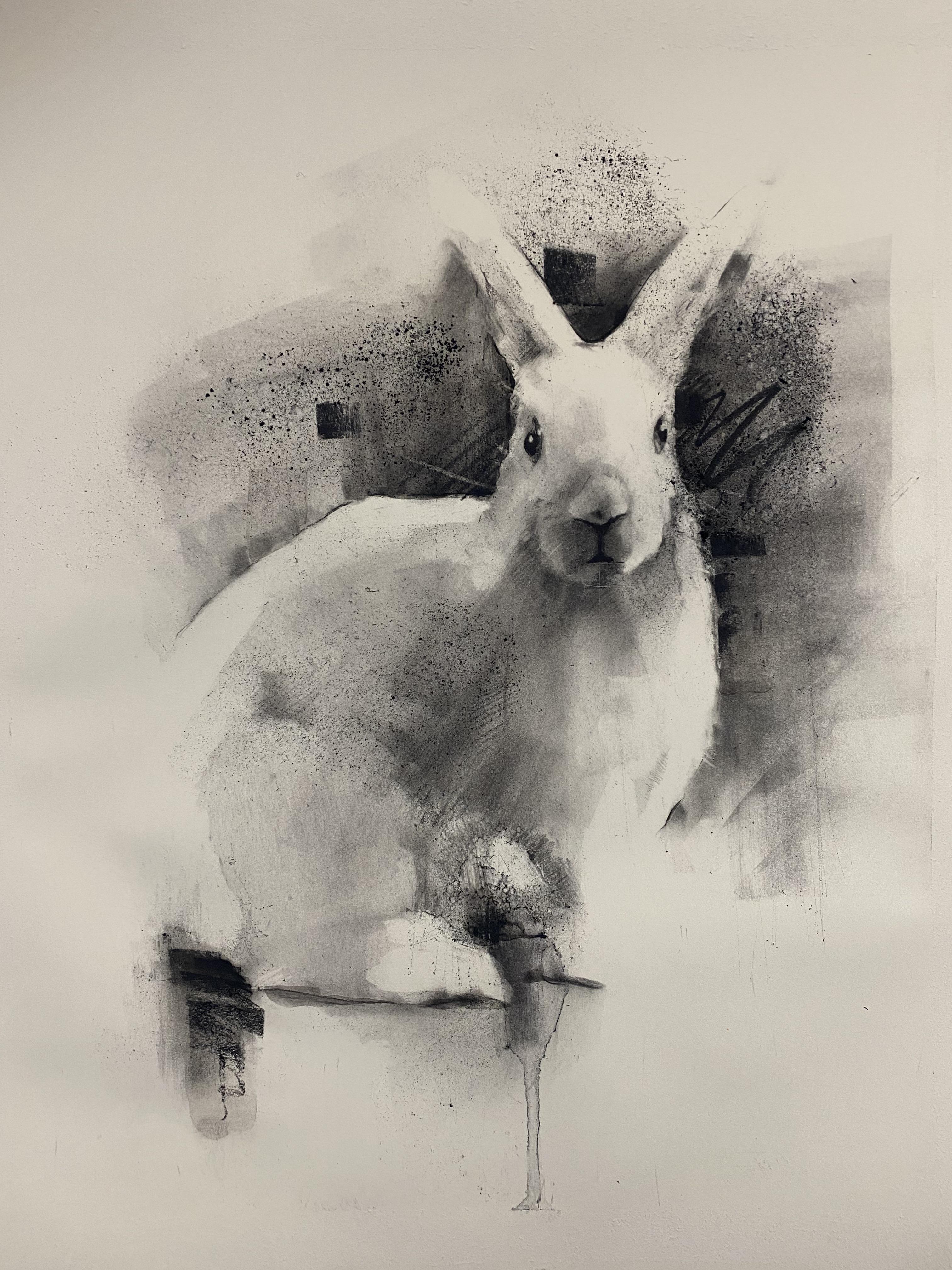White Rabbit, me, charcoal, 2022 | Scrolller