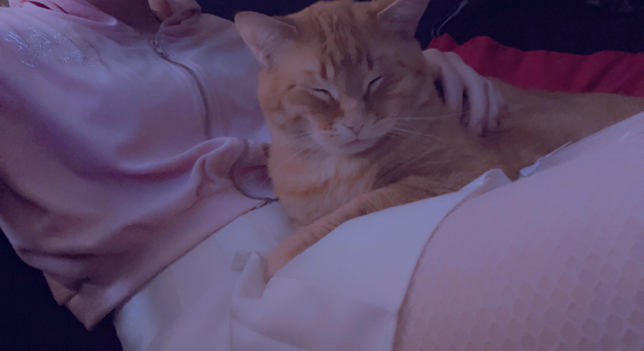 who wants me and my kitty! | Scrolller