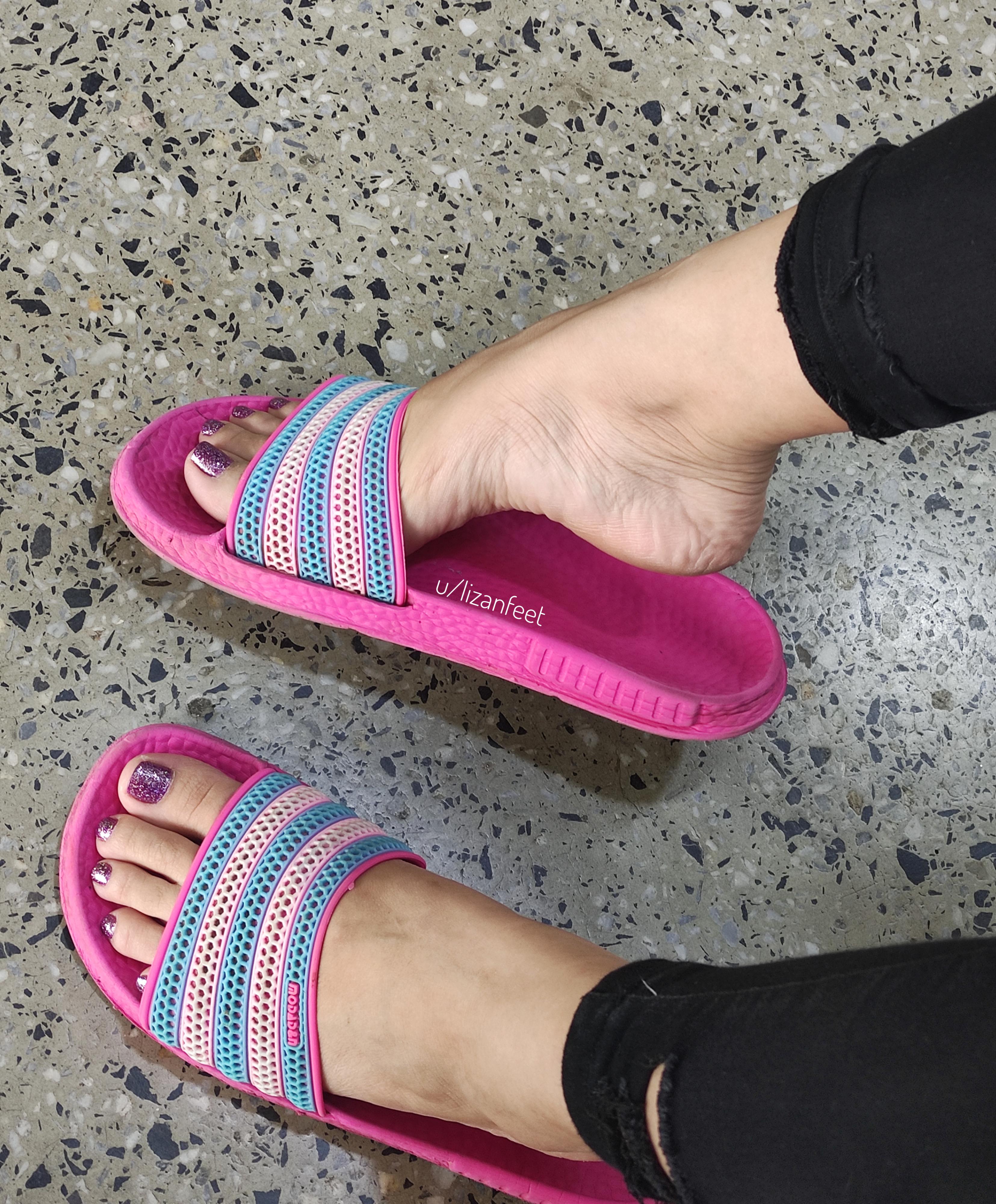 Would you like to put your nose inside my sandal? | Scrolller