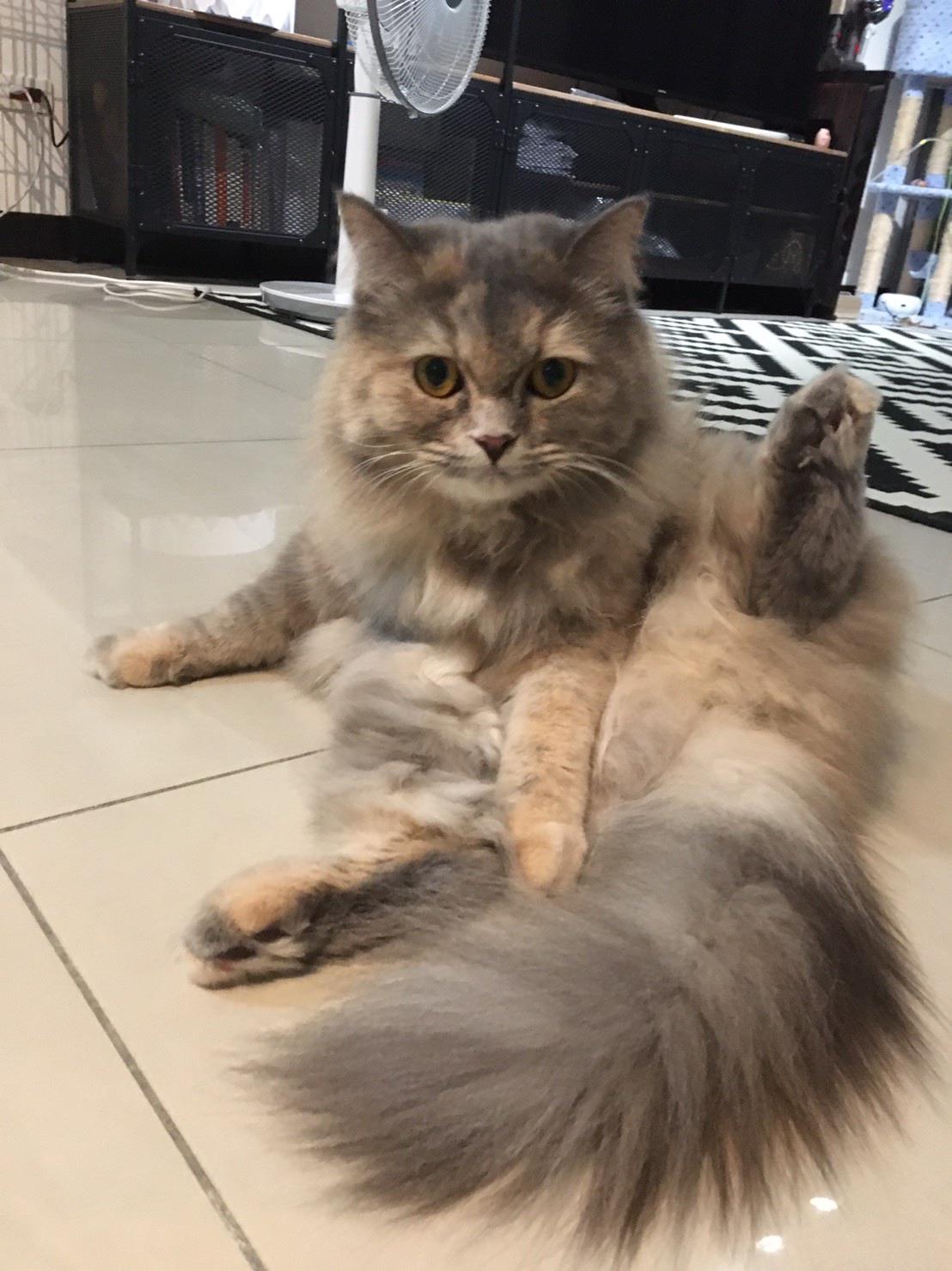 You called? | Scrolller