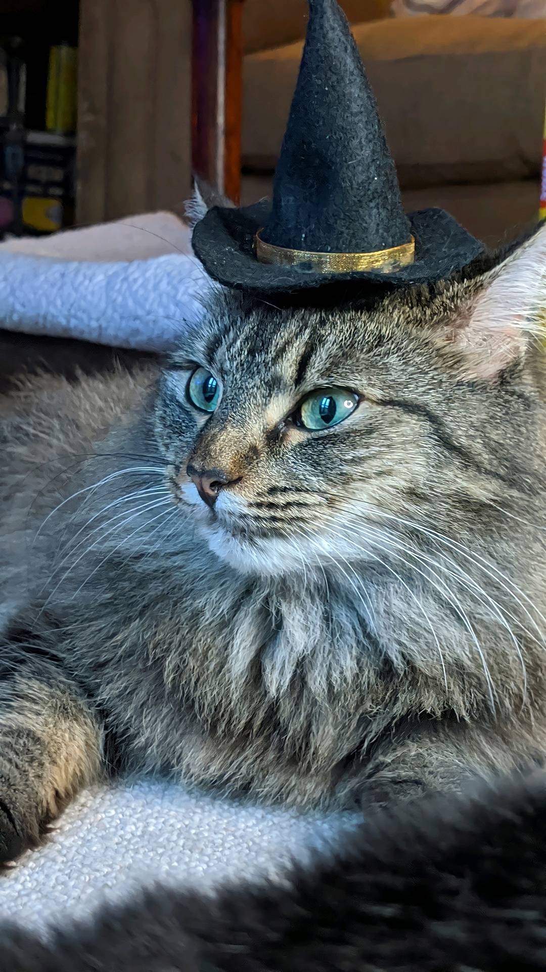 You're a wizard Binky! | Scrolller