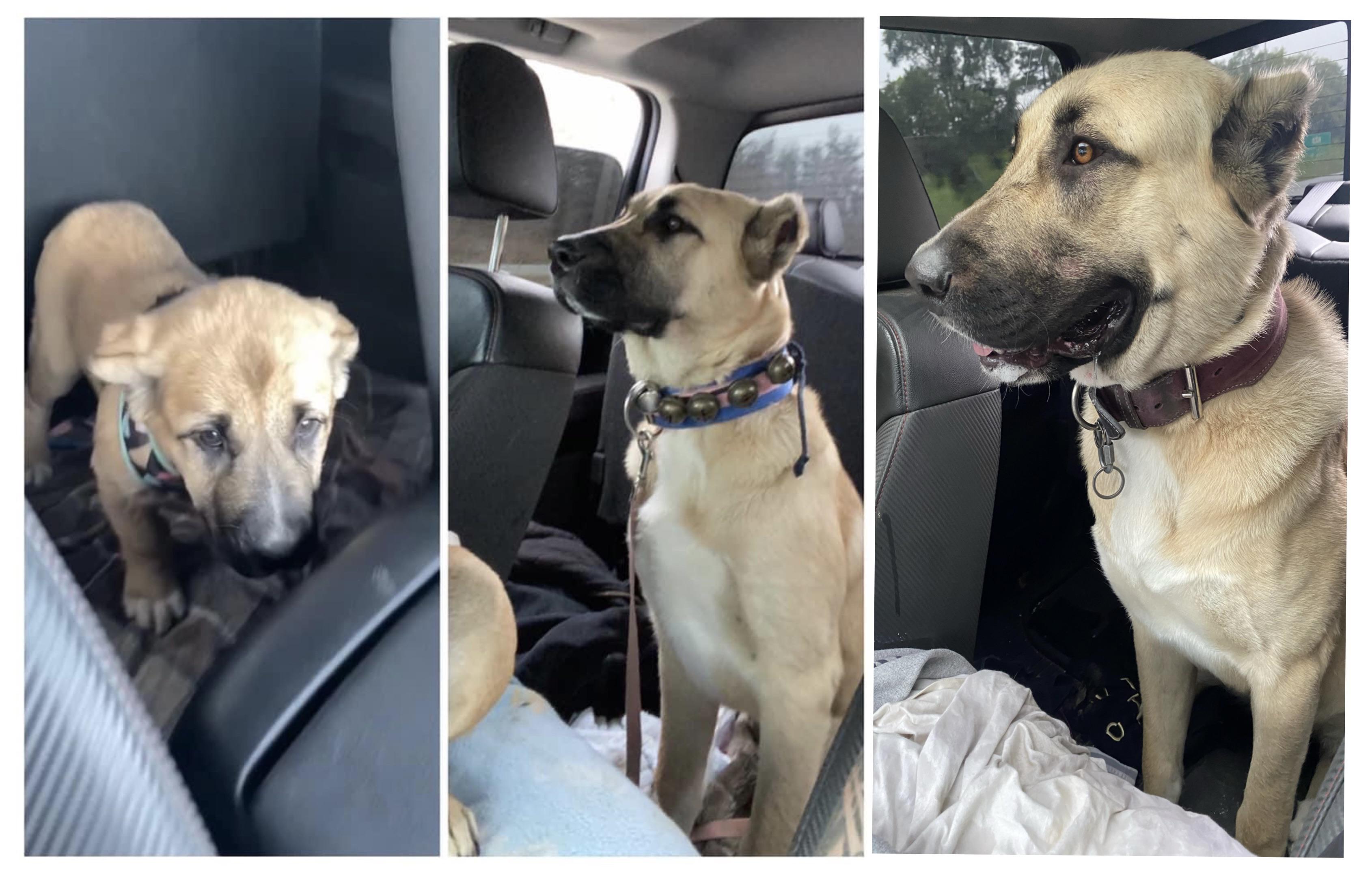 12 weeks, 6 months, 1 year | Scrolller