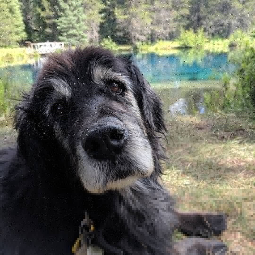 13 year old Hal on his bucket list day. | Scrolller