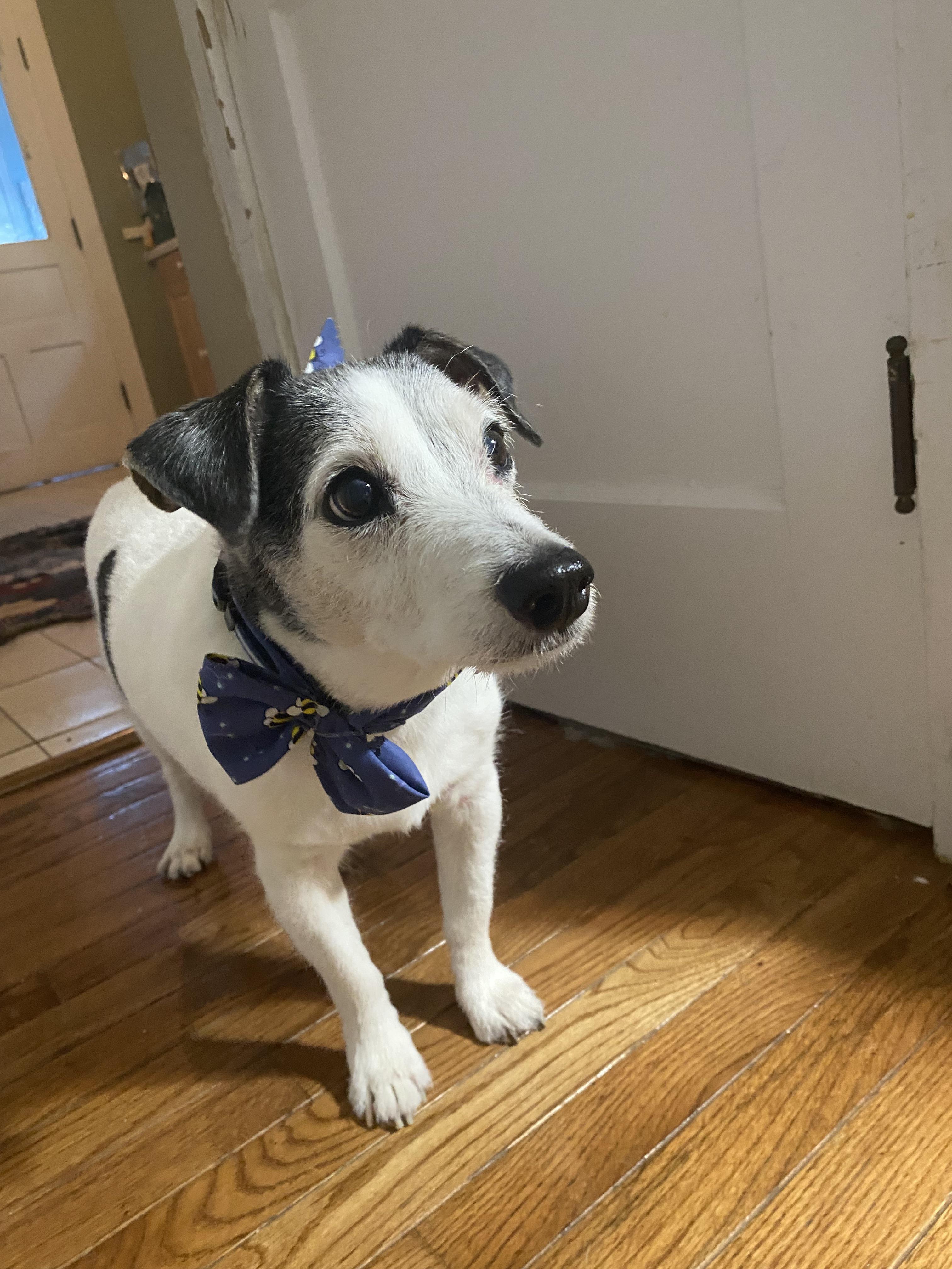 15, cute, and stubborn | Scrolller