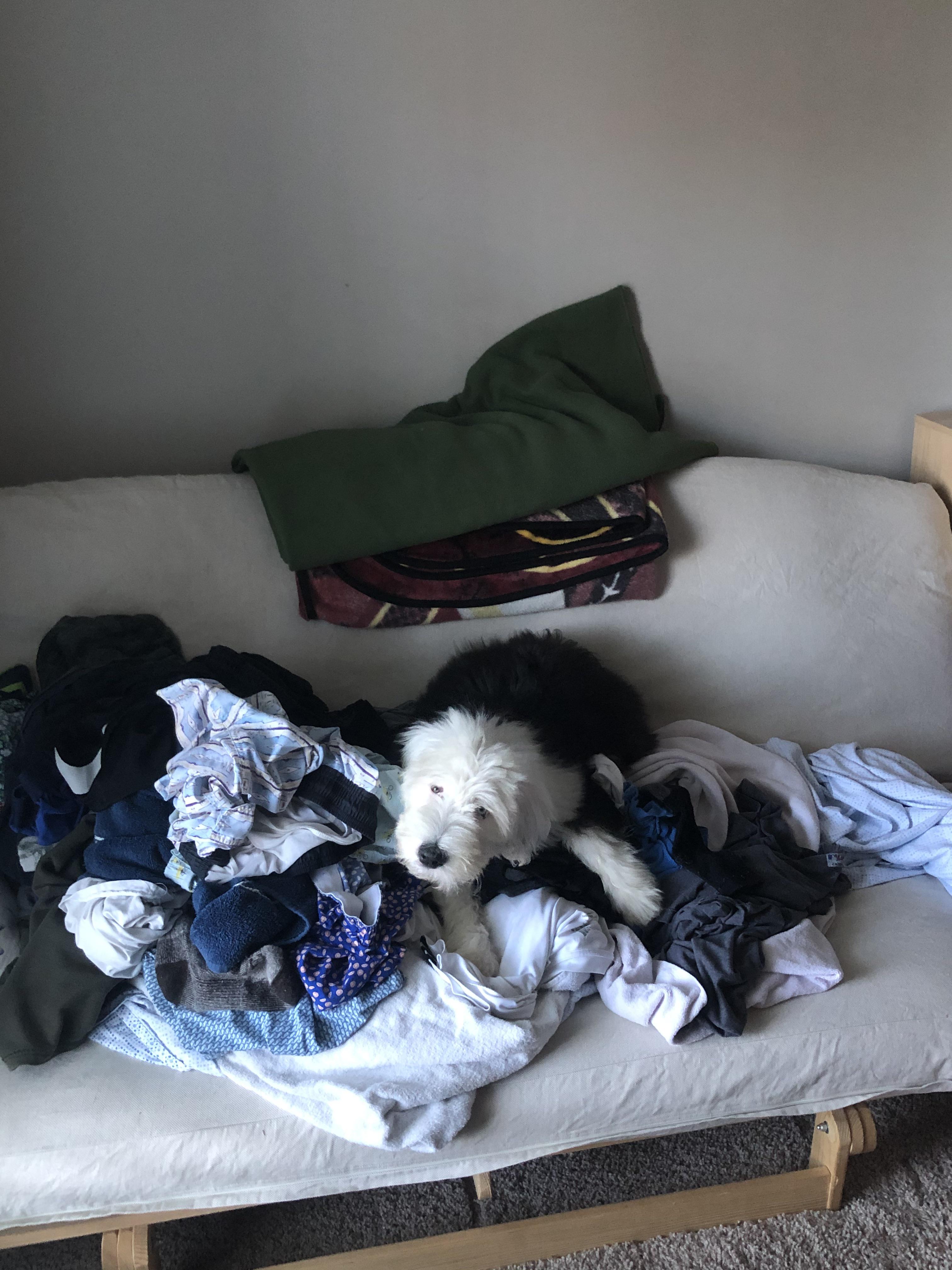 15 weeks! | Scrolller