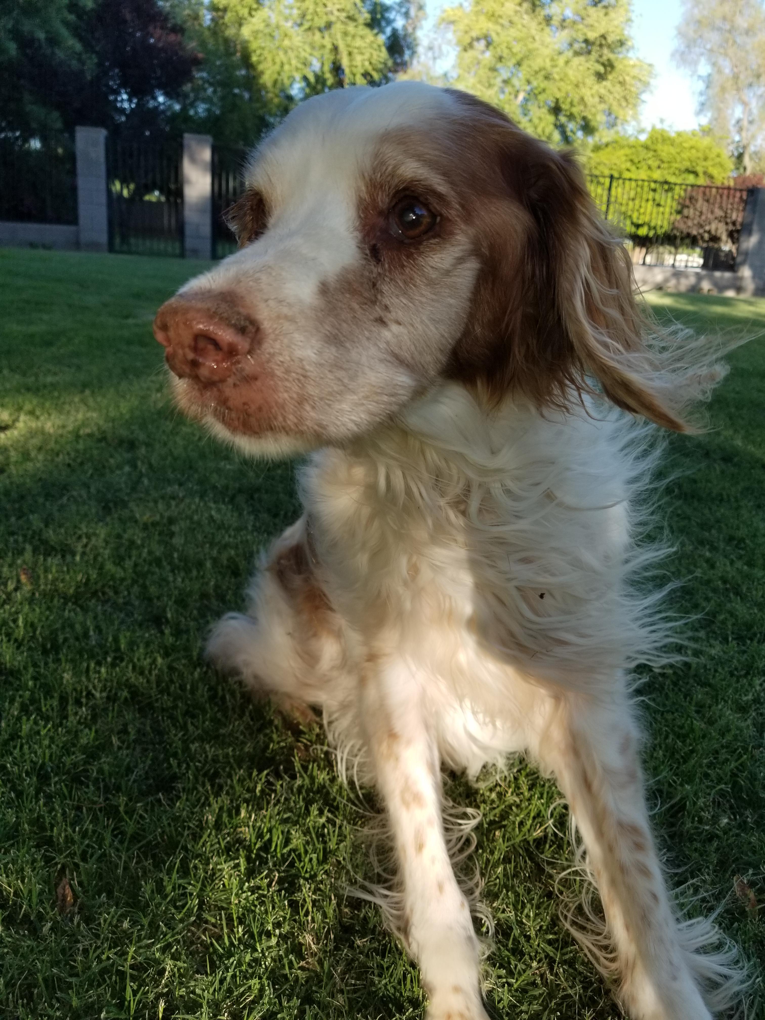 17 and Counting | Scrolller