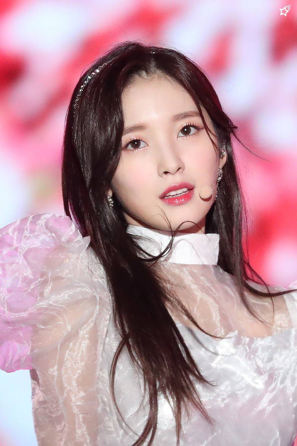 181104 Arin | Scrolller