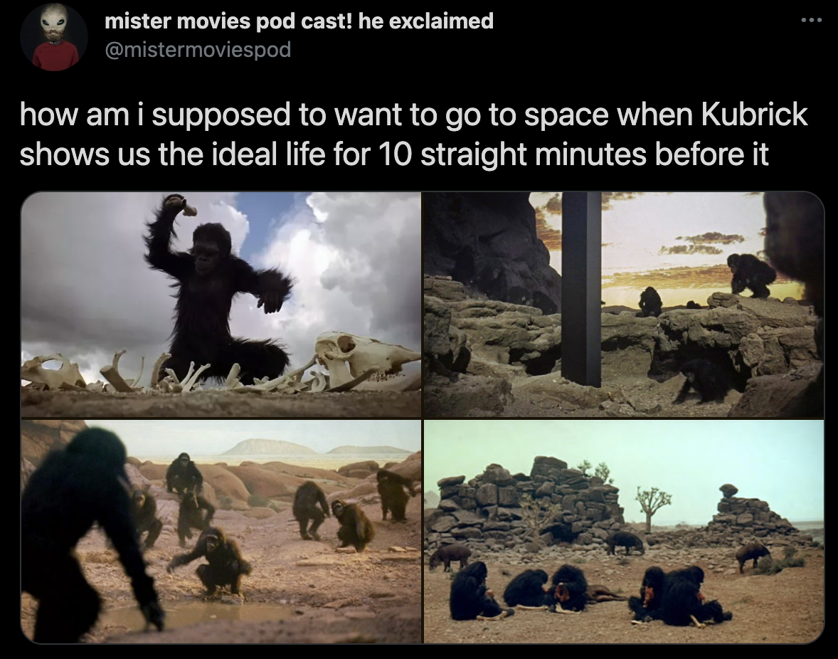 2001: A Return to Monke | Scrolller