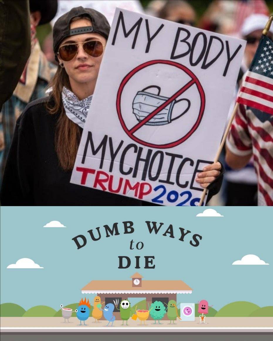 2020 Edition | Scrolller