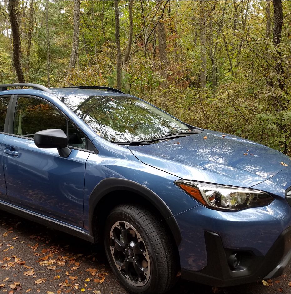 2021 just the basics | Scrolller