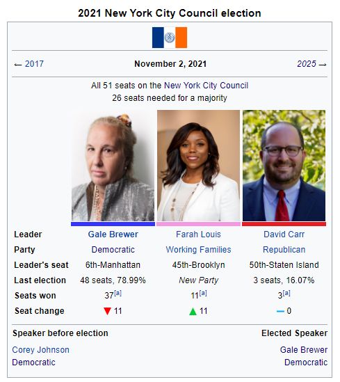 2021 NYC City Council Election | Scrolller