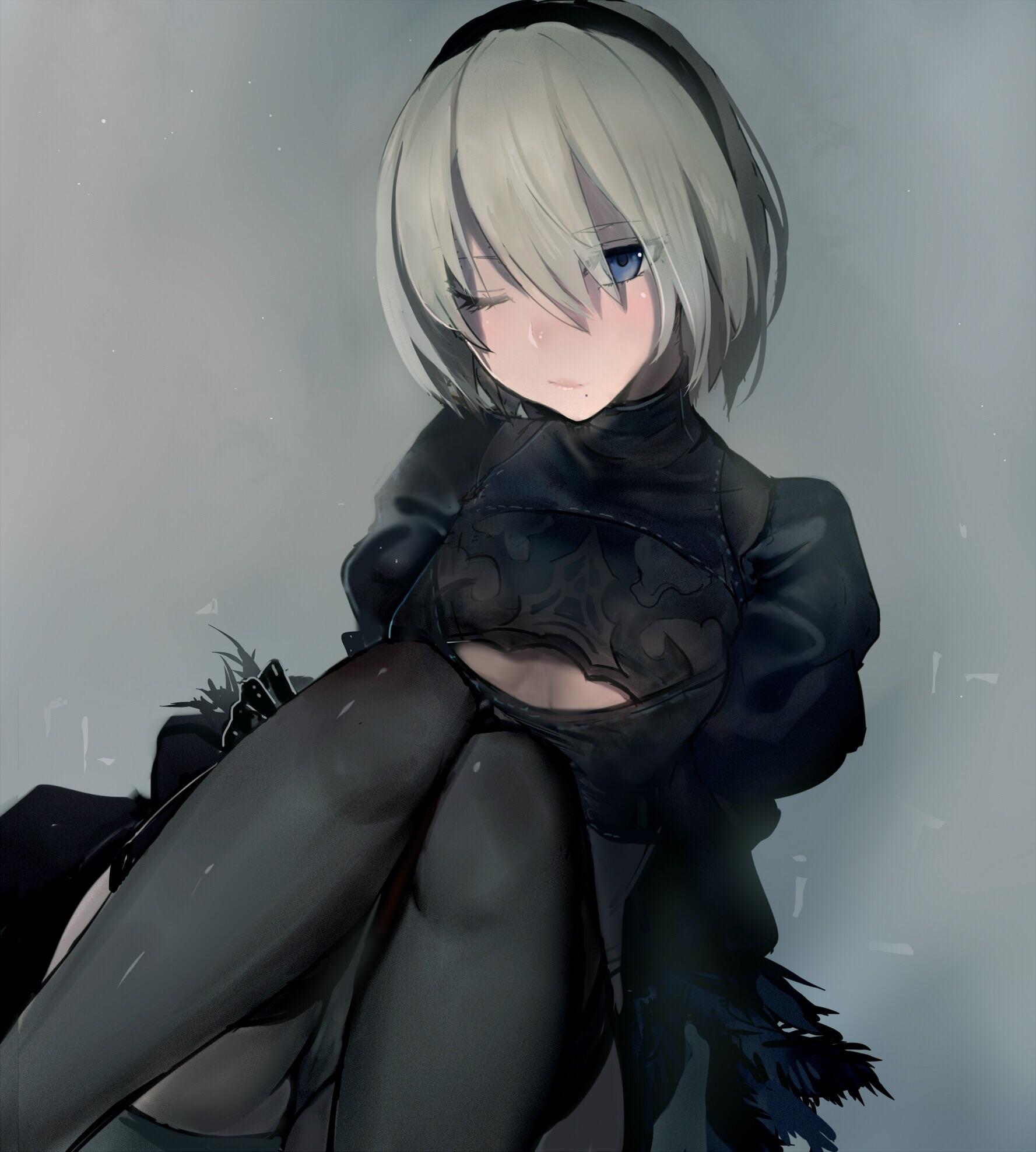 2B (Nier Automata) | Scrolller