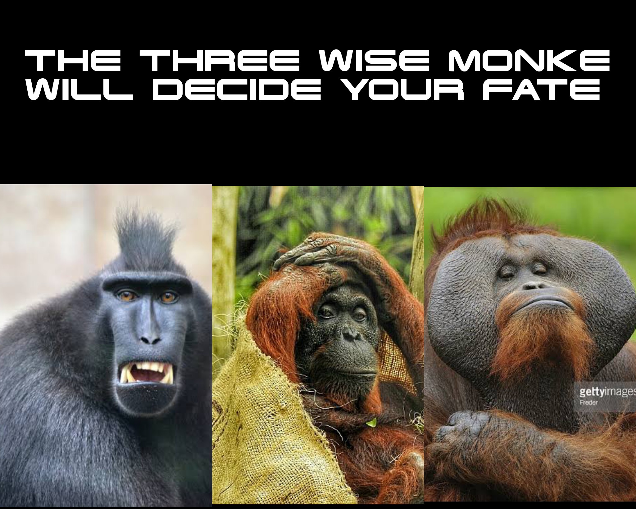 3 wise monkes | Scrolller