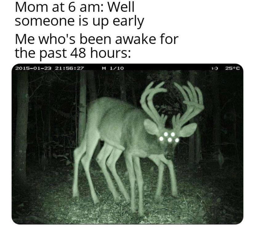 5th eye spread eagle | Scrolller