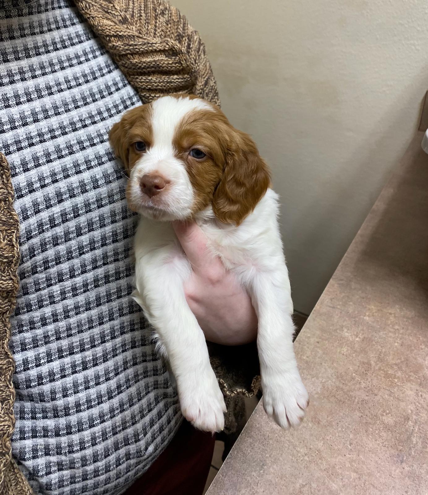 6 weeks old | Scrolller