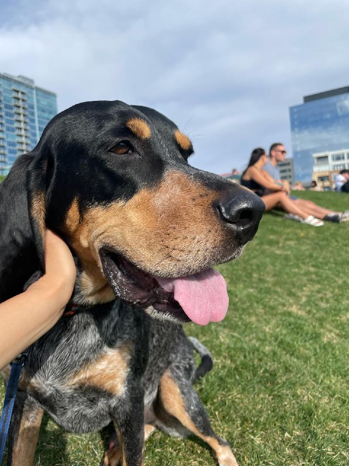 82 in Denver | Scrolller